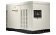 Generac RG02724ANAX Protector QS® 27kW Automatic Standby Generator (12 ...